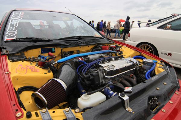 Maximum power from your Honda D-Series: the ultimate tuning guide!